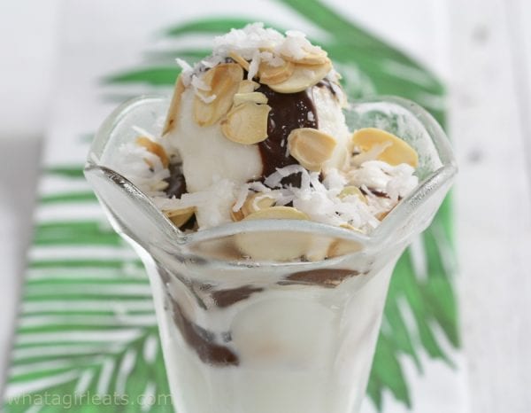 Coconut Ice Cream {Easy Recipe with 4 Ingredients} - What A Girl Eats