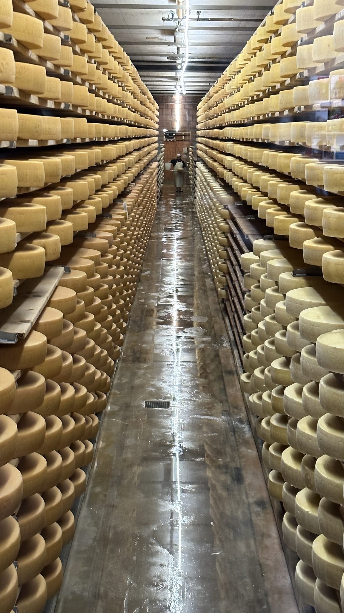 Swiss Cheese Fondue - What A Girl Eats